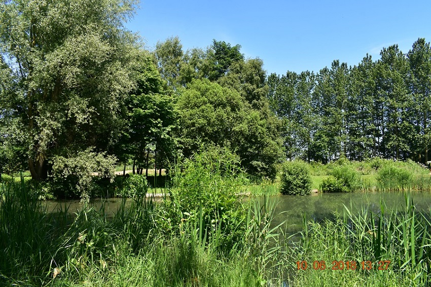 Tench Pond - Butterswood Lakes and Cottages